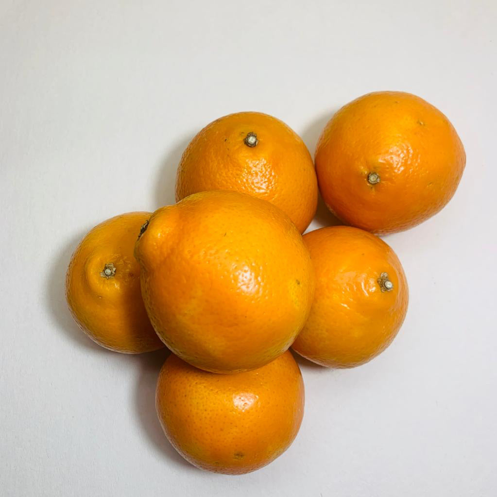 Naranja Importada – COSECHA TO-GO