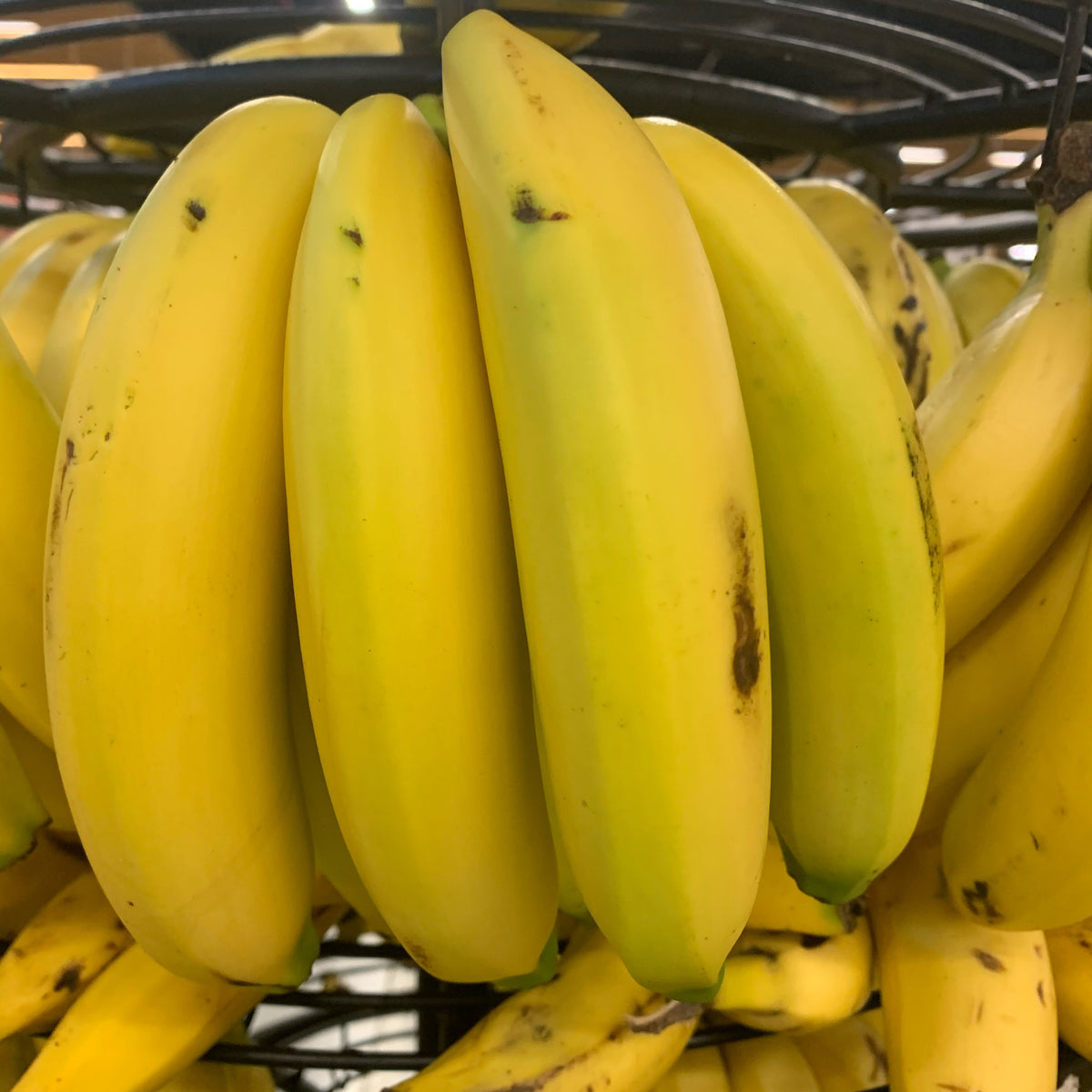 Banano Criollo – COSECHA TO-GO
